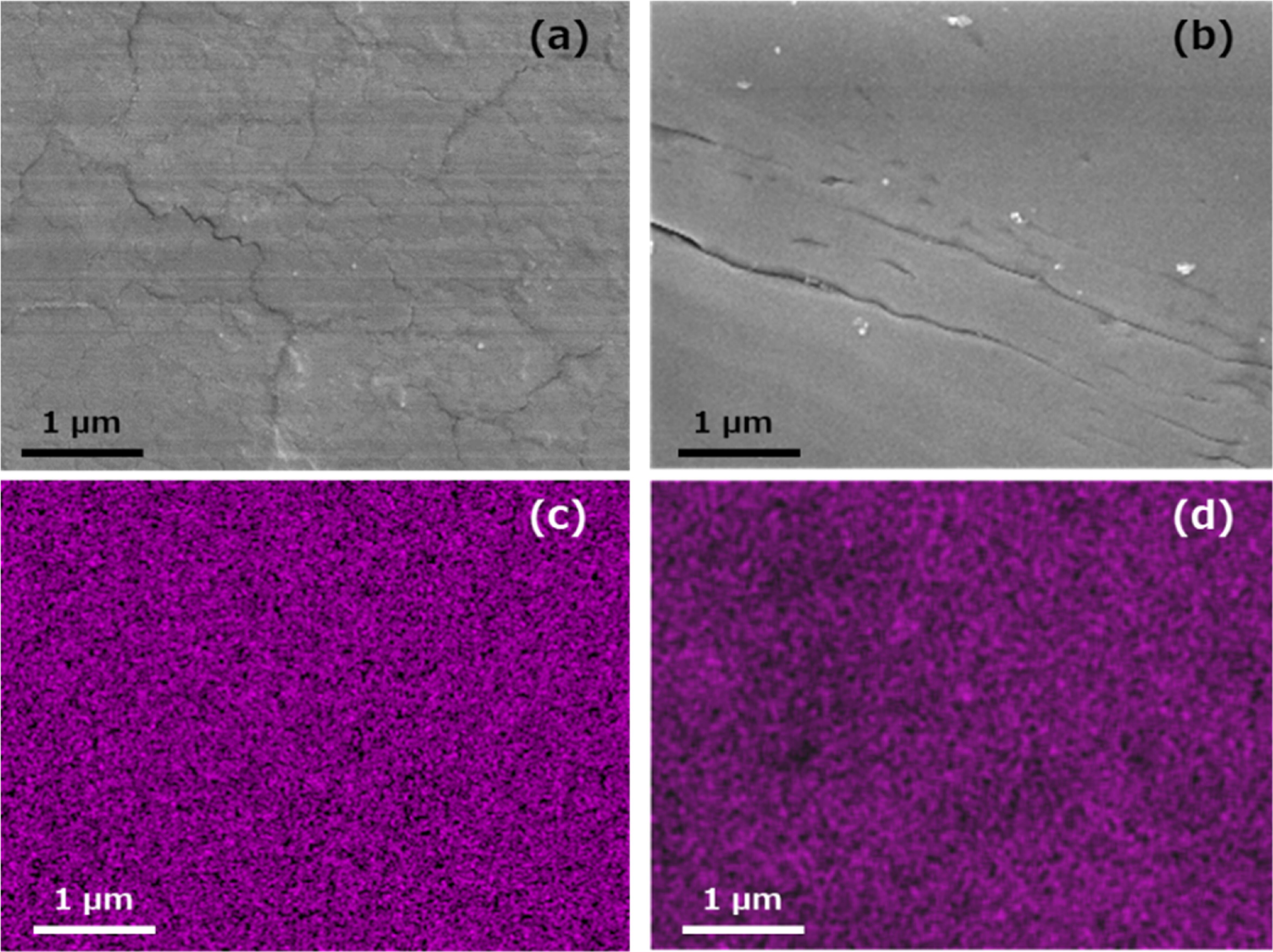 Thin films of rutile-type GeO2 fabricated via solid-phase ...