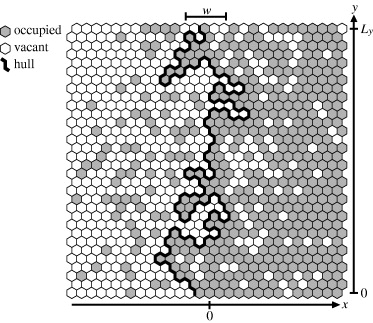 The geometry of percolation fronts in two-dimensional lattices with ...