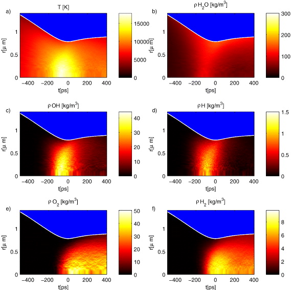 Molecular dynamics simulations of cavitation bubble collapse and ...