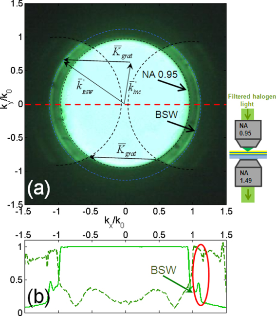 Fluorescence diffraction assisted by Bloch surface waves on a one ...