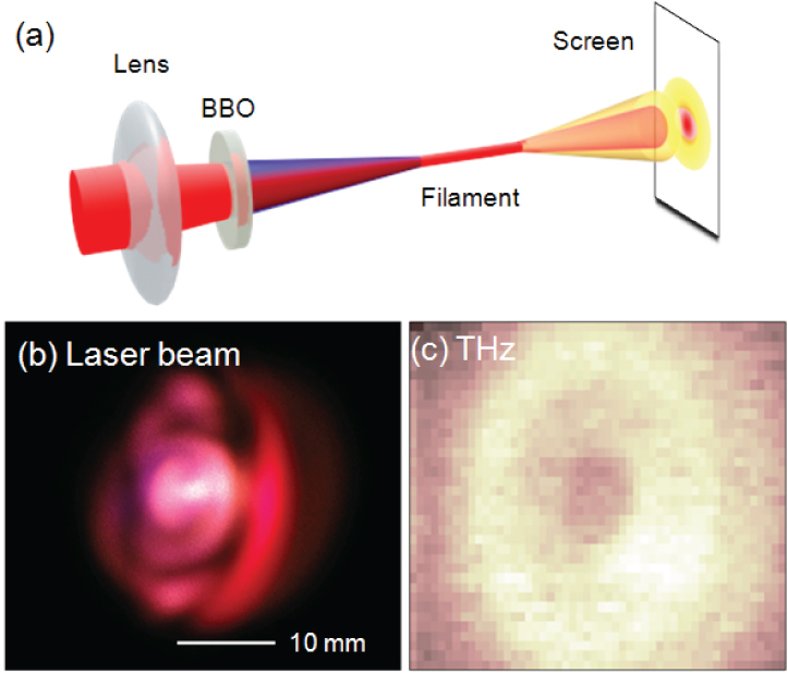Intense terahertz generation in two-color laser filamentation: energy ...