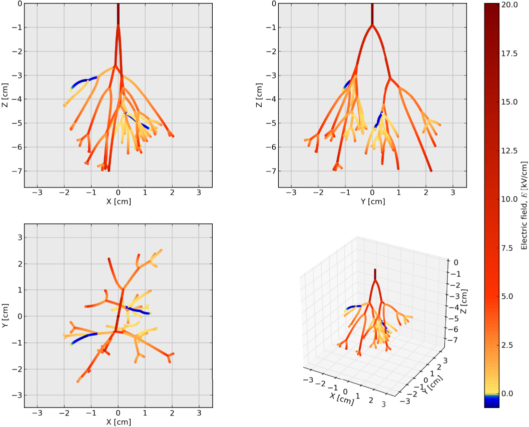 Growing discharge trees with self-consistent charge transport: the ...