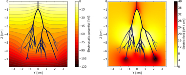 Growing discharge trees with self-consistent charge transport: the ...