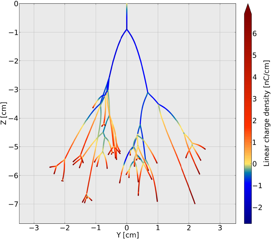 Growing discharge trees with self-consistent charge transport: the ...