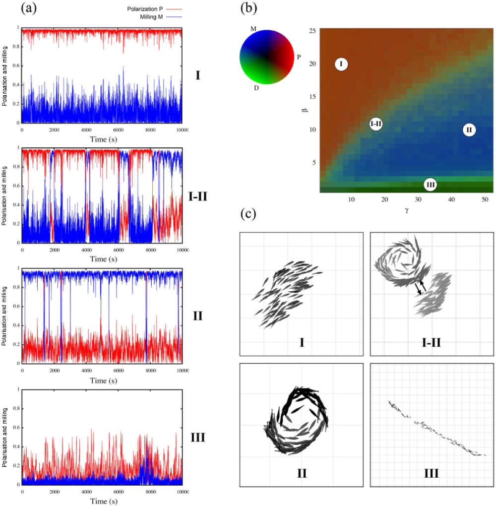 Swarming, schooling, milling: phase diagram of a data-driven fish ...