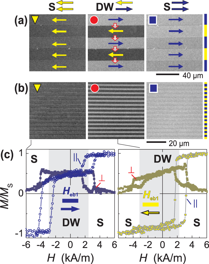 Magnetization dynamics of magnetic domain wall imprinted magnetic films ...