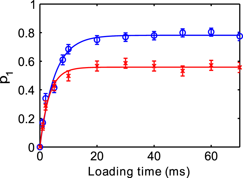 Efficient collisional blockade loading of a single atom into a tight ...