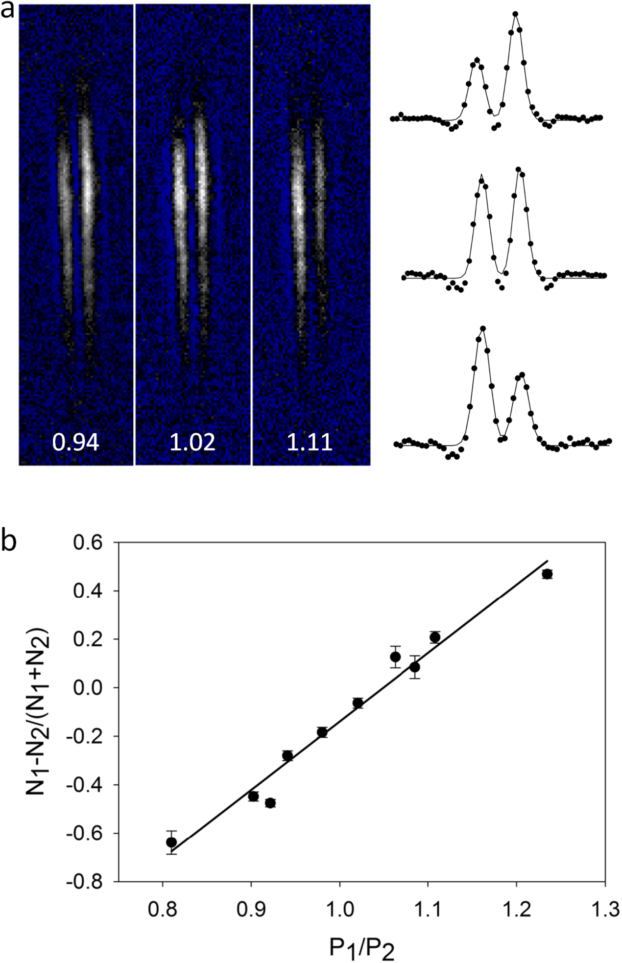 Integrated coherent matter wave circuits - IOPscience