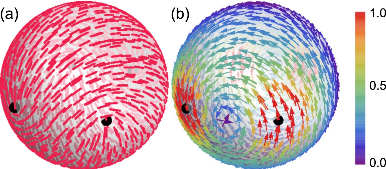 Vortex formation and dynamics of defects in active nematic shells ...