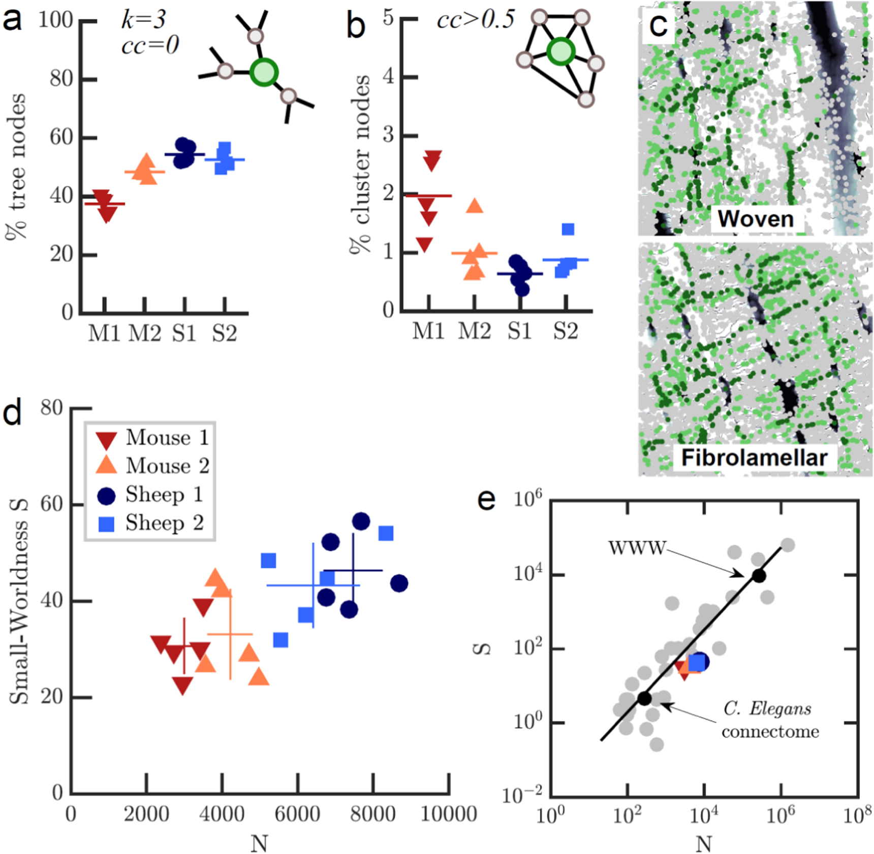 The small world of osteocytes: connectomics of the lacuno-canalicular ...