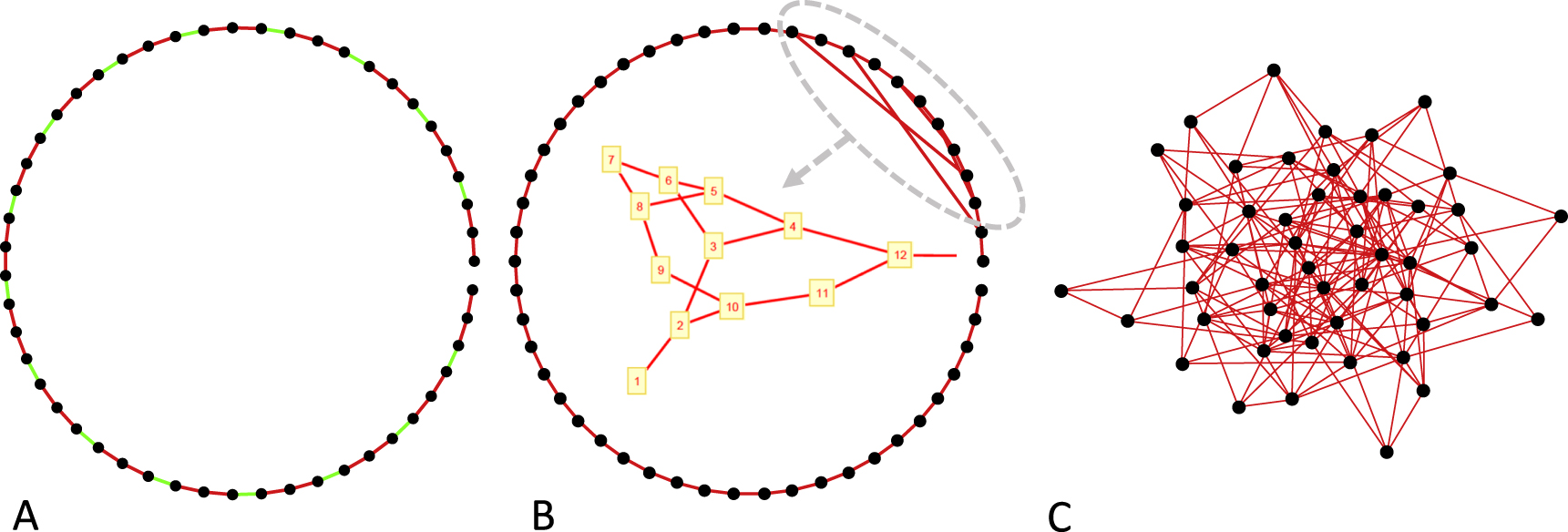 Reconfigurable optical implementation of quantum complex networks ...