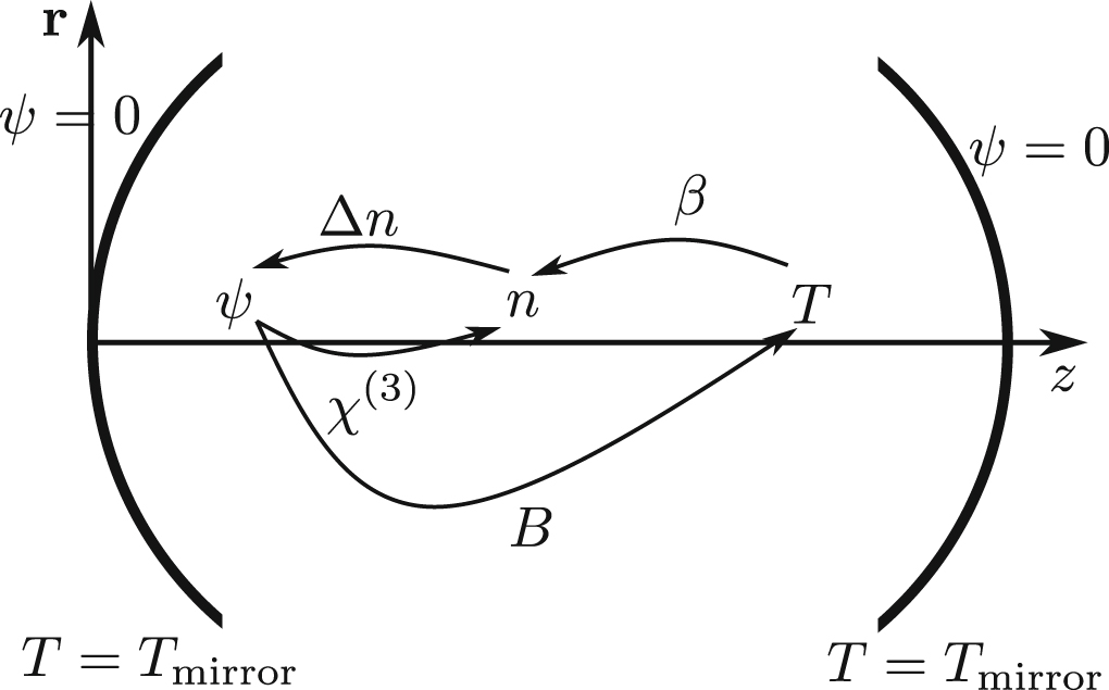 Collective modes of a photon Bose–Einstein condensate with thermo-optic ...