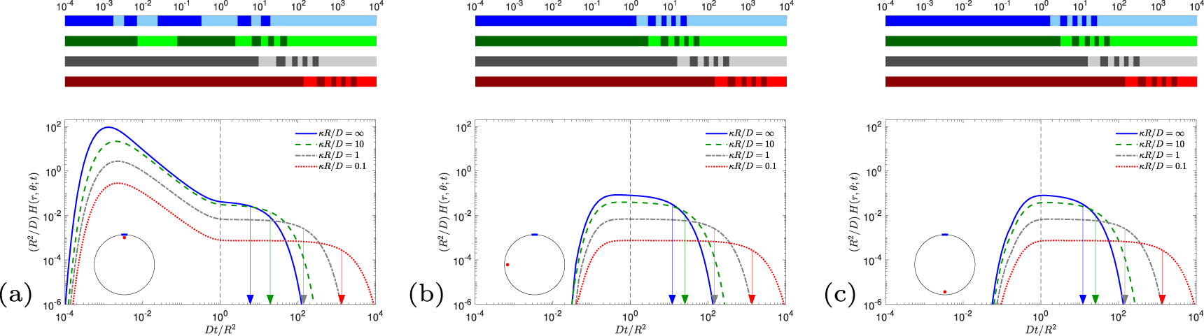 Full distribution of first exit times in the narrow escape problem ...