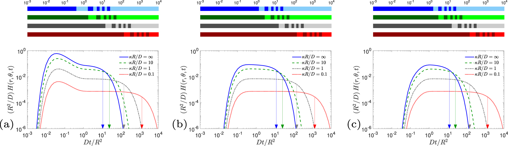 Full distribution of first exit times in the narrow escape problem ...