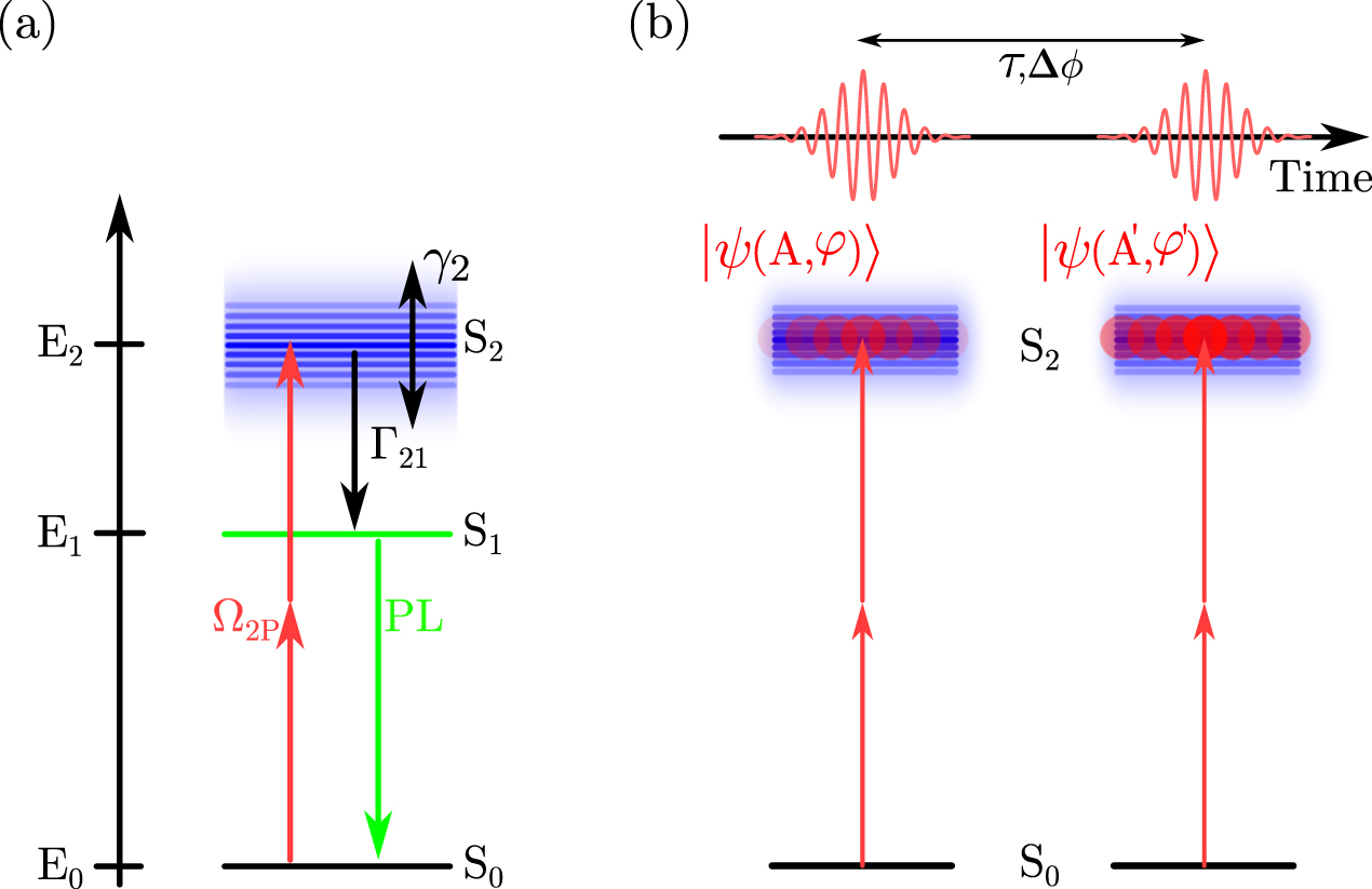 Two-photon induced ultrafast coherence decay of highly excited states ...