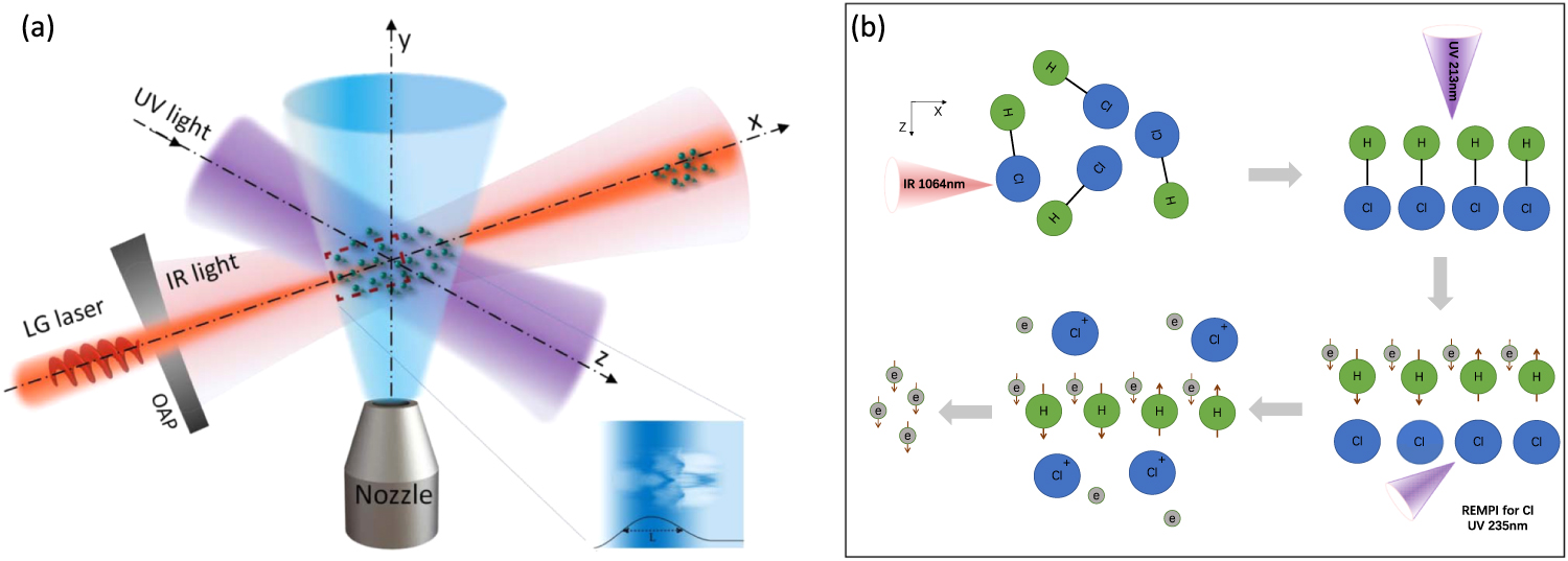 Polarized electron-beam acceleration driven by vortex laser pulses ...