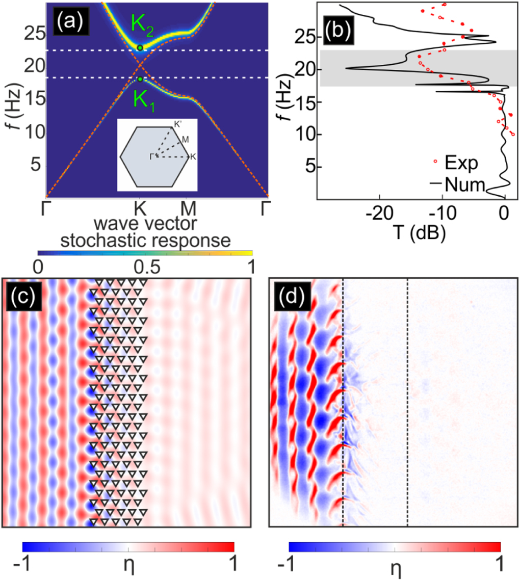 Observation of topological gravity-capillary waves in a water wave ...