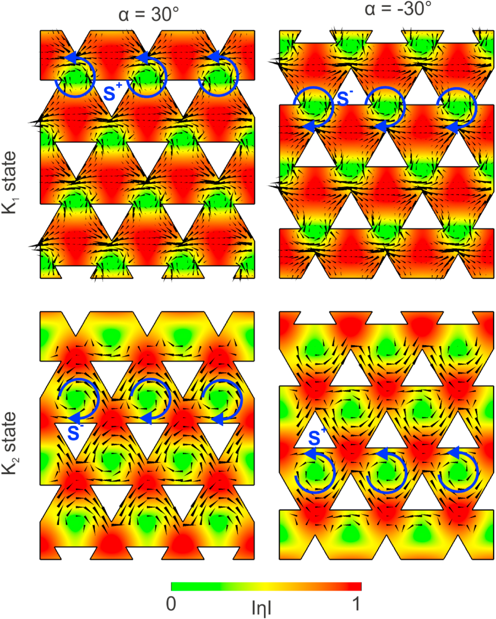 Observation of topological gravity-capillary waves in a water wave ...