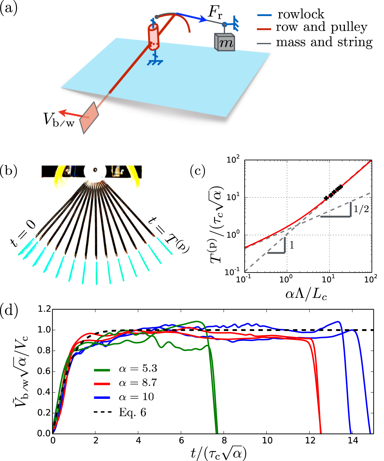 Physics of rowing oars - IOPscience