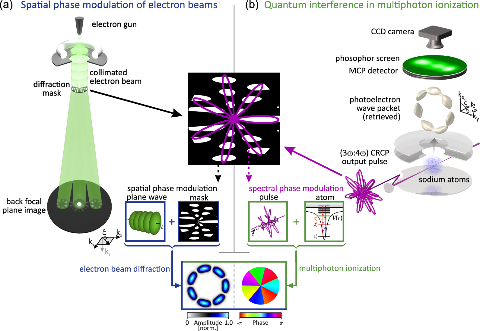 Orbital angular momentum superposition states in transmission electron ...