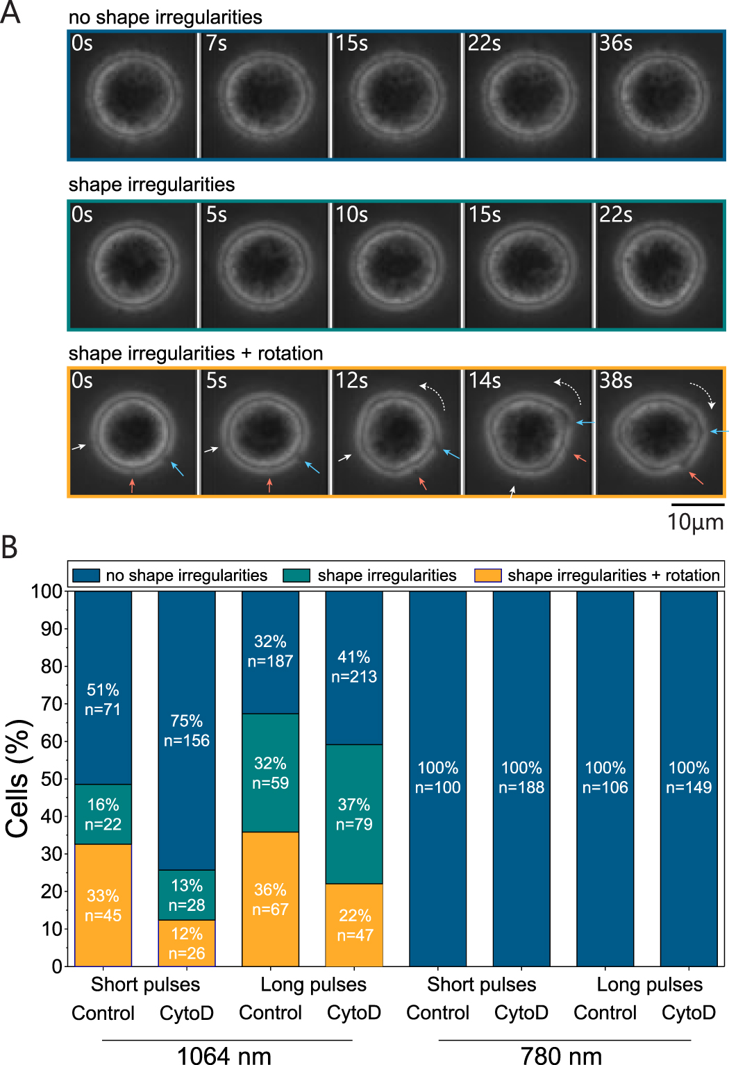 Stretching and heating cells with light—nonlinear photothermal cell ...