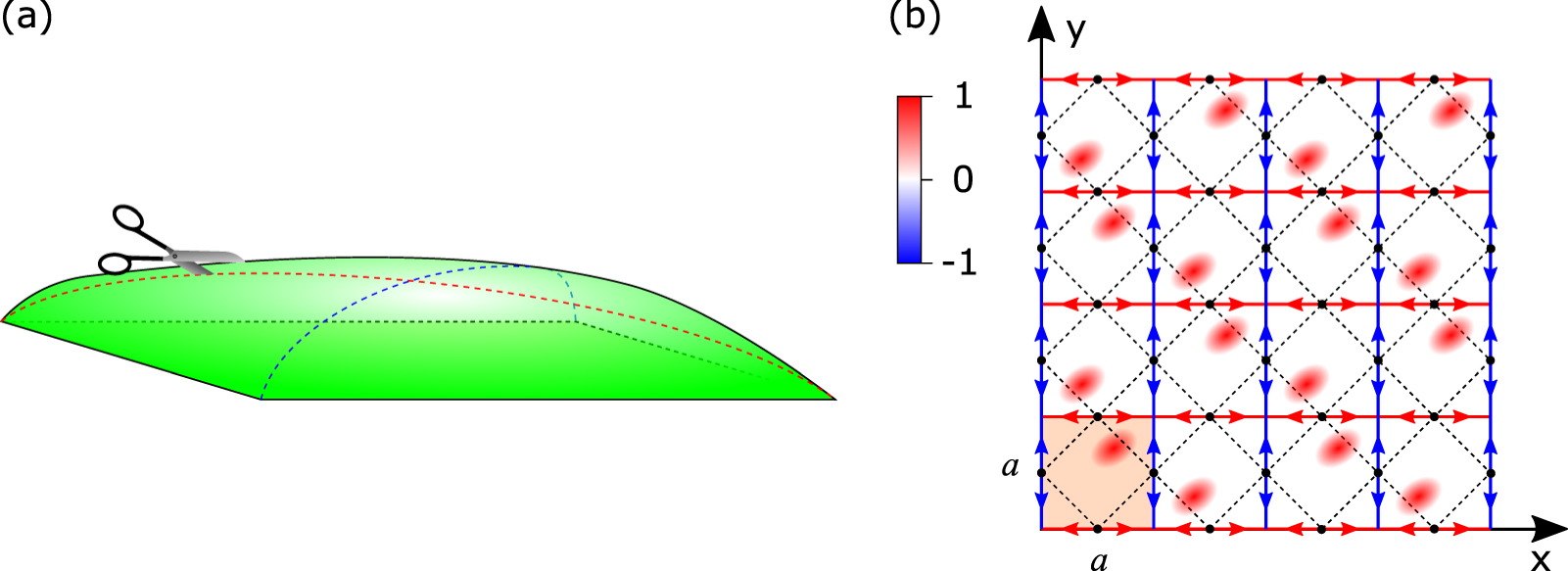 Optical simulation of quantum mechanics on the Möbius strip, Klein’s ...