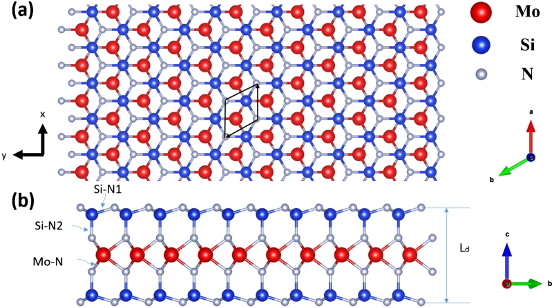 High intrinsic lattice thermal conductivity in monolayer MoSi2N4 ...