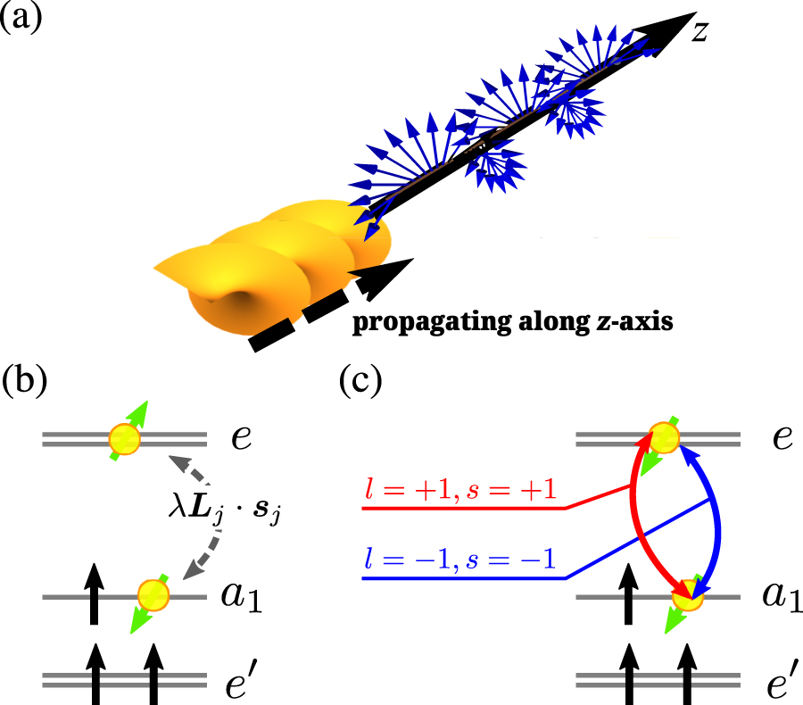 Twisted light-induced spin–spin interaction in a chiral helimagnet ...