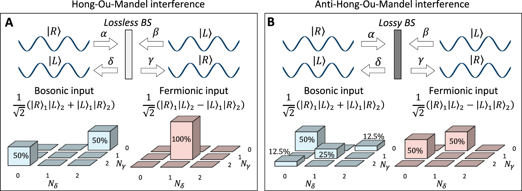 Anti-Hong–Ou–Mandel interference by coherent perfect absorption of ...