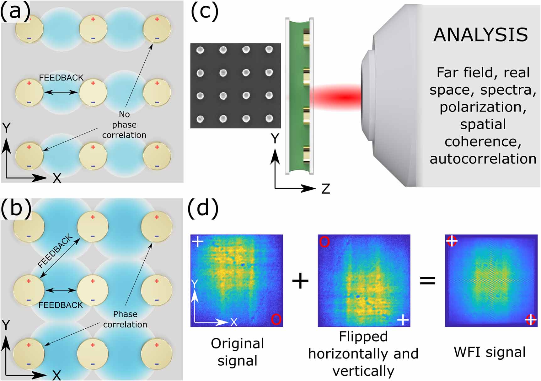 Scattering dominated spatial coherence and phase correlation properties ...