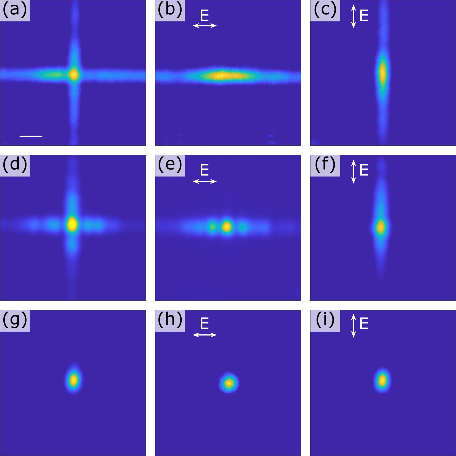 Scattering dominated spatial coherence and phase correlation properties ...