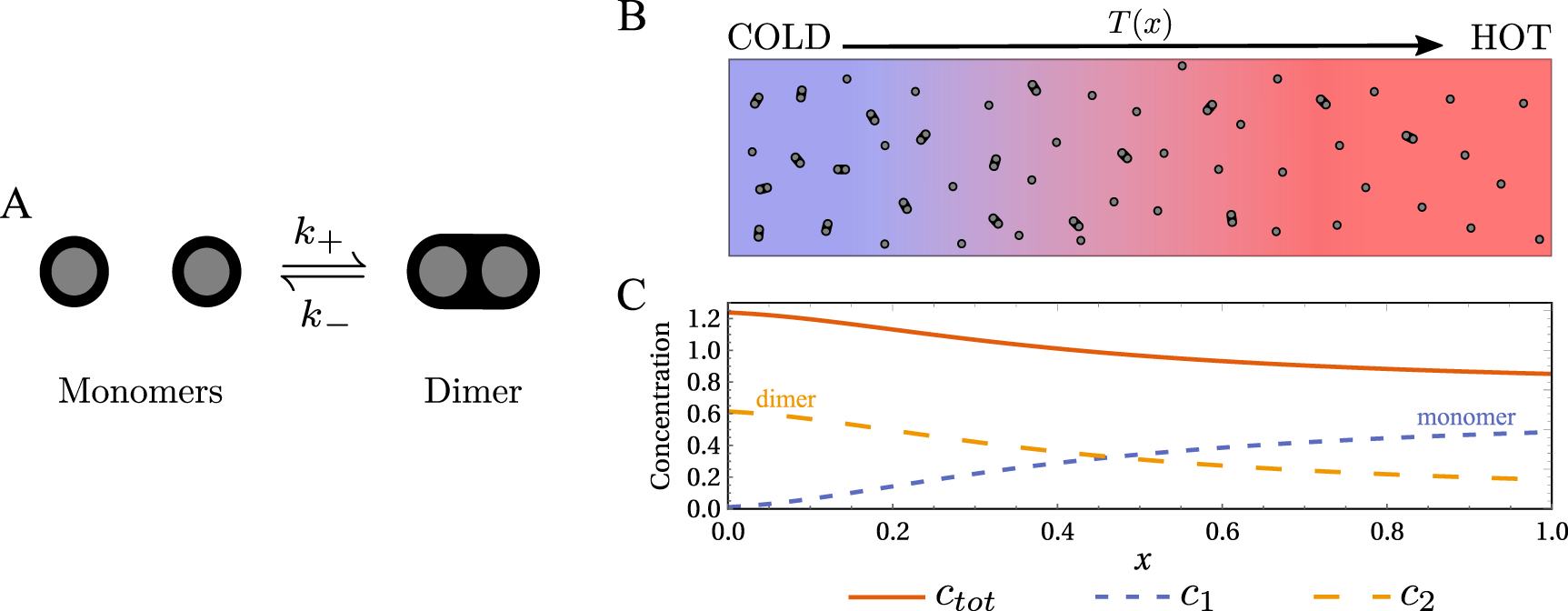 Emergent thermophoretic behavior in chemical reaction systems - IOPscience