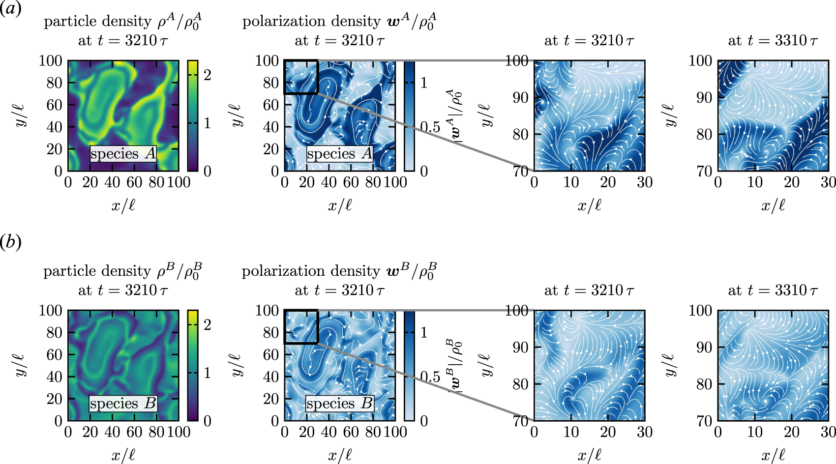 Clustering and flocking of repulsive chiral active particles with non ...