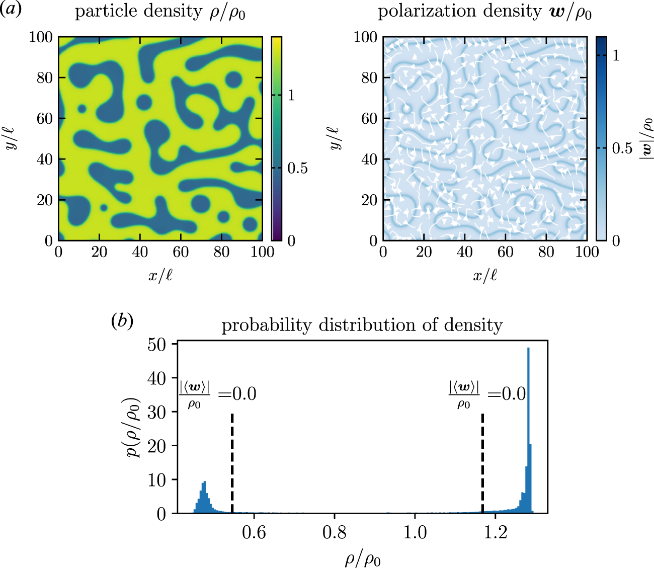 Clustering and flocking of repulsive chiral active particles with non ...