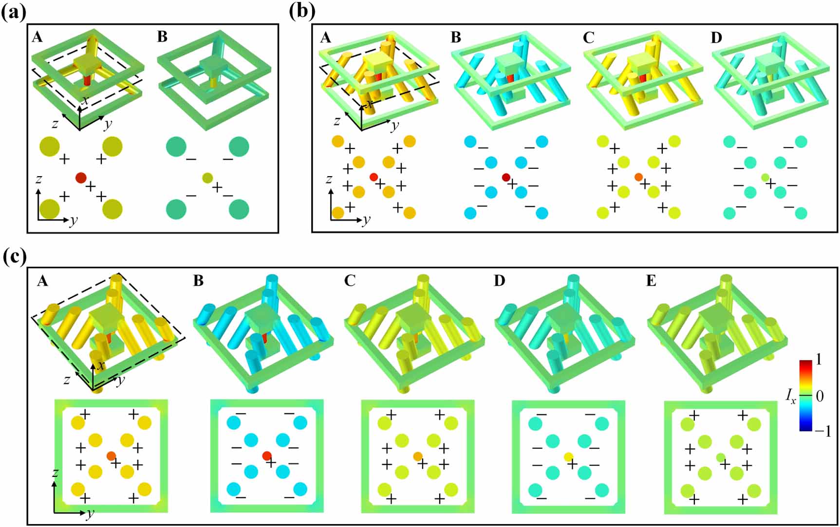 Observation of multiple rotons and multidirectional roton-like ...