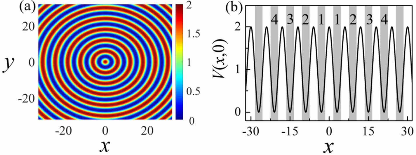 Vortex-ring quantum droplets in a radially-periodic potential - IOPscience