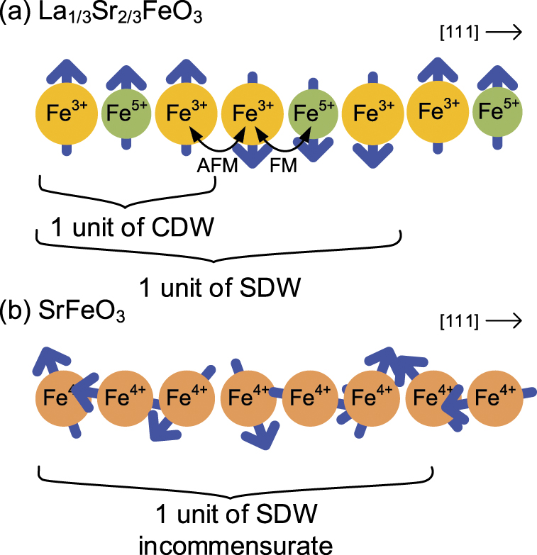 Photoinduced transient states of antiferromagnetic orderings in La1 ...