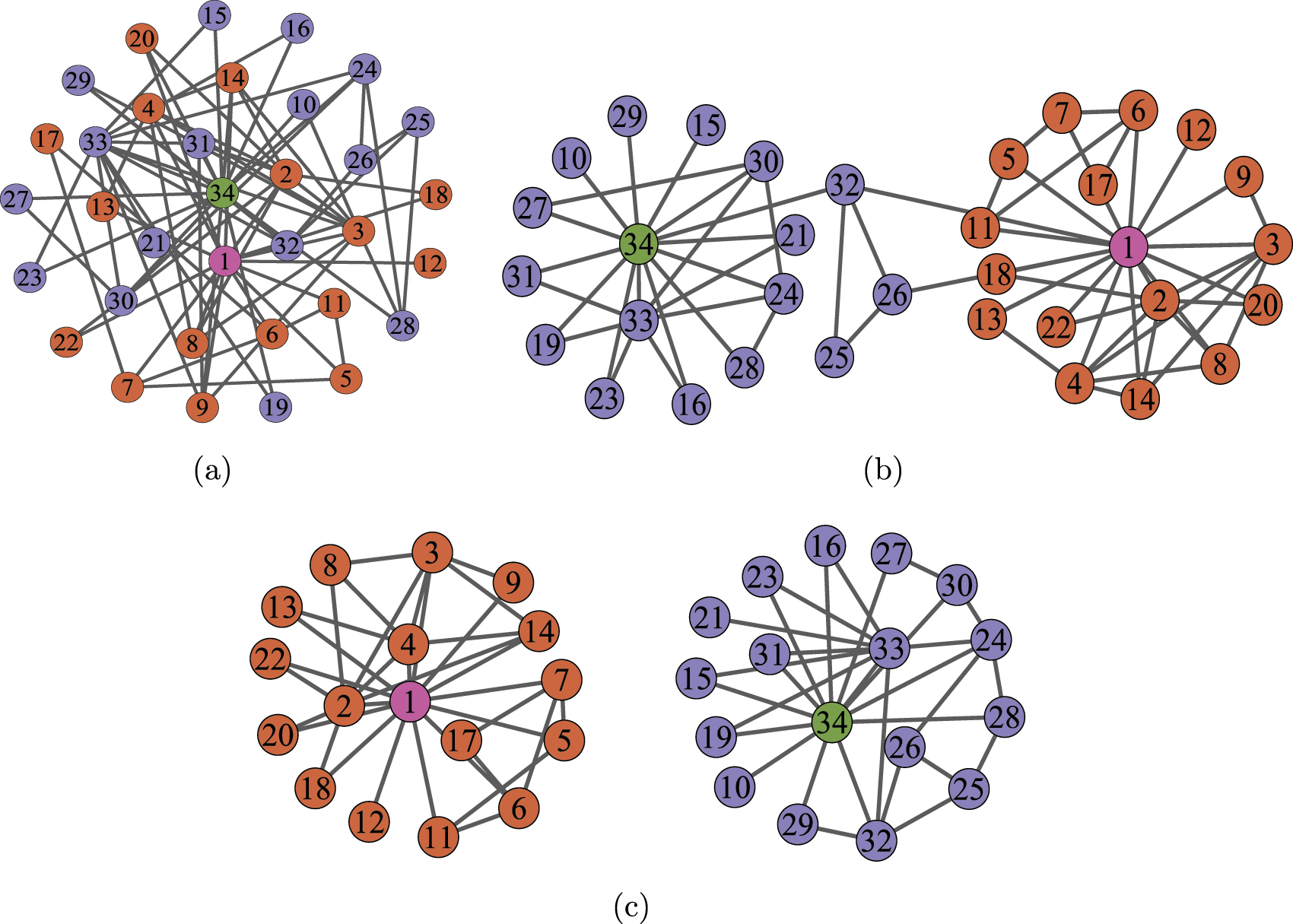Segregation dynamics driven by network leaders - IOPscience