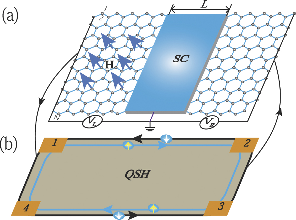 Direct coupling-induced pseudoparity nonconservation scattering ...