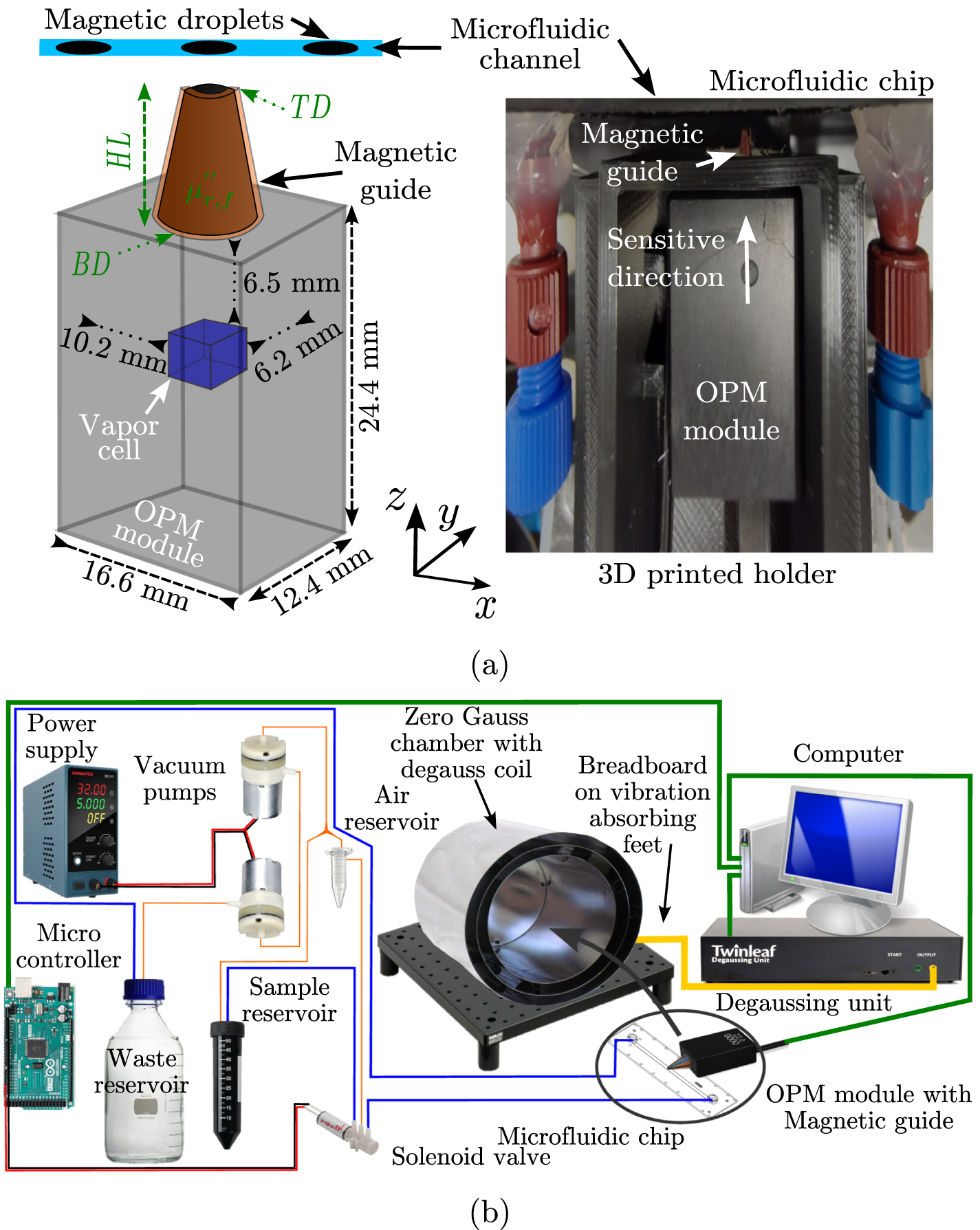 Optically pumped magnetometer with high spatial resolution magnetic guide for the detection of ...