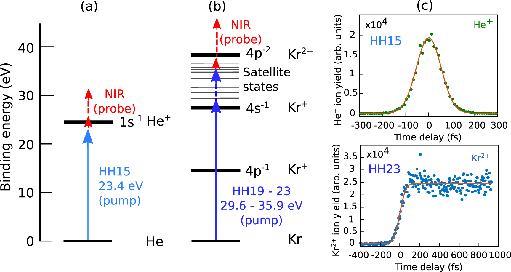 Electron correlation dynamics in atomic Kr excited by XUV pulses and ...