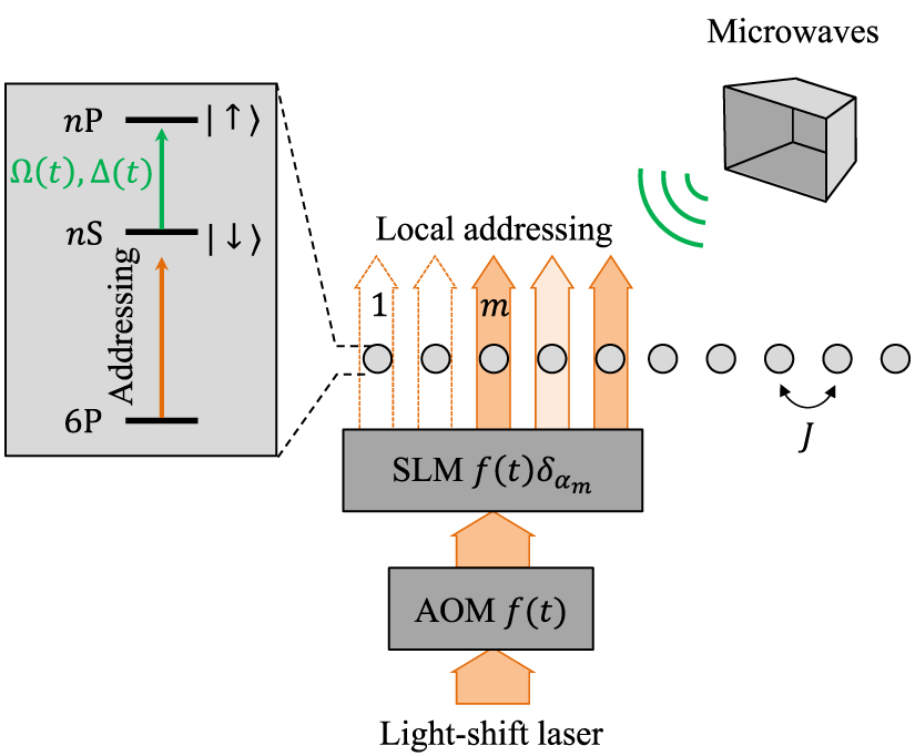 A randomized measurement toolbox for an interacting Rydberg-atom ...