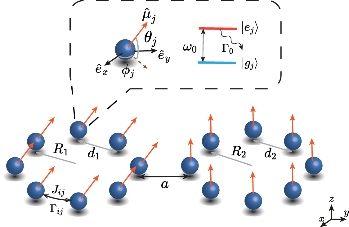 Optimal subradiant spin wave exchange in dipole-coupled atomic ring ...
