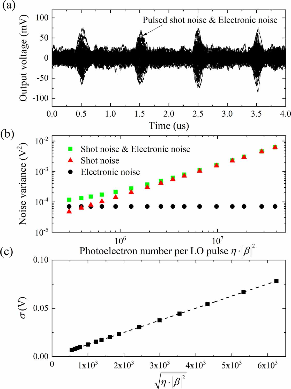 Silicon photonics-integrated time-domain balanced homodyne detector for quantum tomography and ...