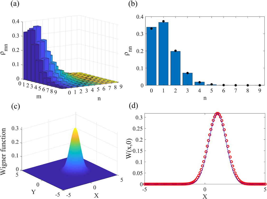 Silicon photonics-integrated time-domain balanced homodyne detector for quantum tomography and ...