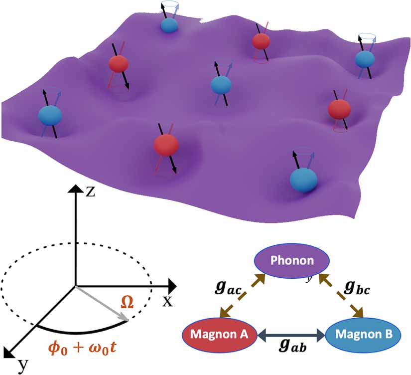Tunable phonon-driven magnon–magnon entanglement at room temperature ...