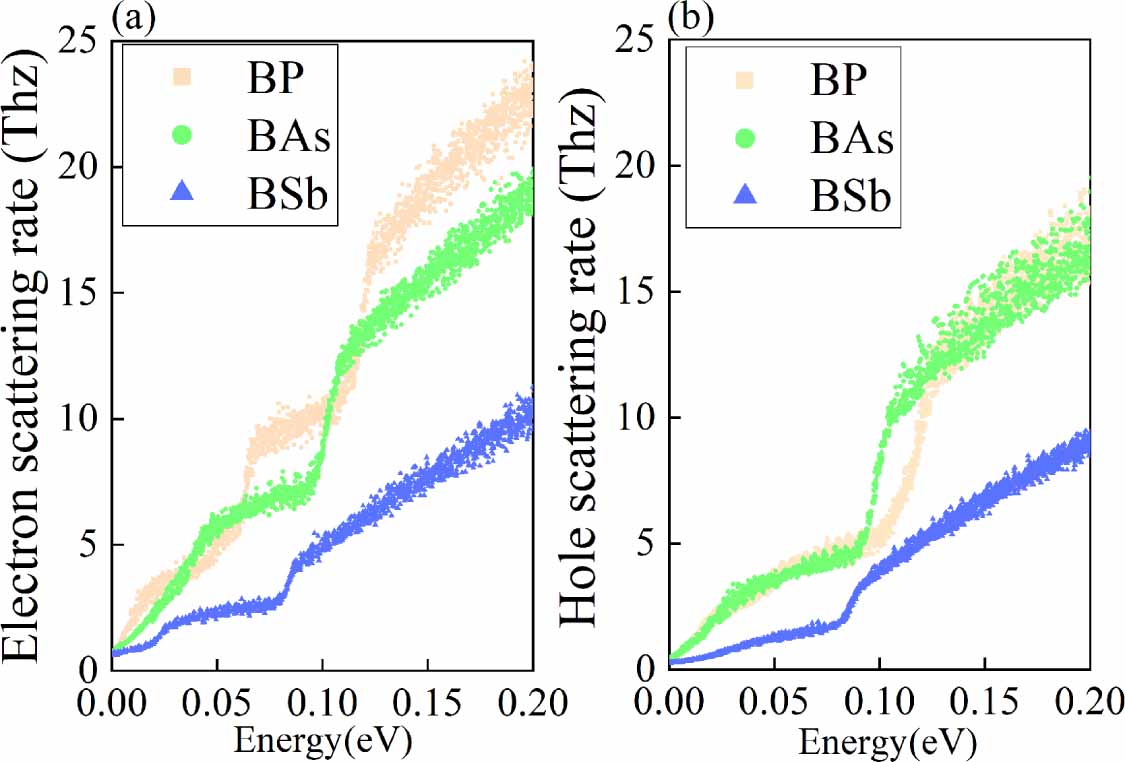 The electron–phonon scattering and charge transport of the two ...