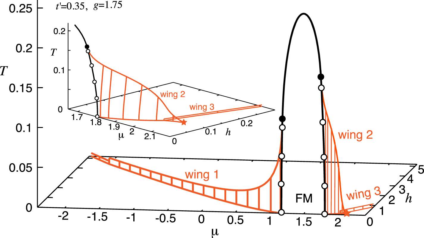 Ferromagnetic and metamagnetic transitions in itinerant electron ...