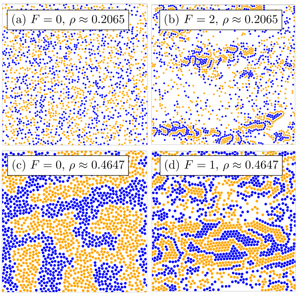 Arrested coarsening and large density fluctuations in driven particle ...