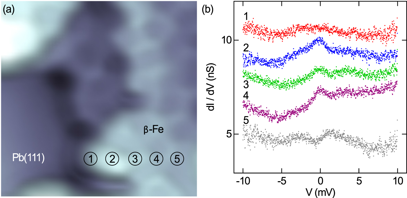 From a wide band gap to the superconducting proximity effect: Fe on Pb ...